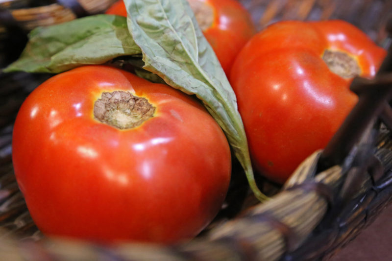 Creole Tomato – Muriel's Jackson Square